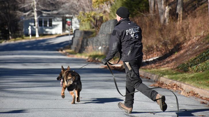 A look inside Halifax police’s K-9 unit