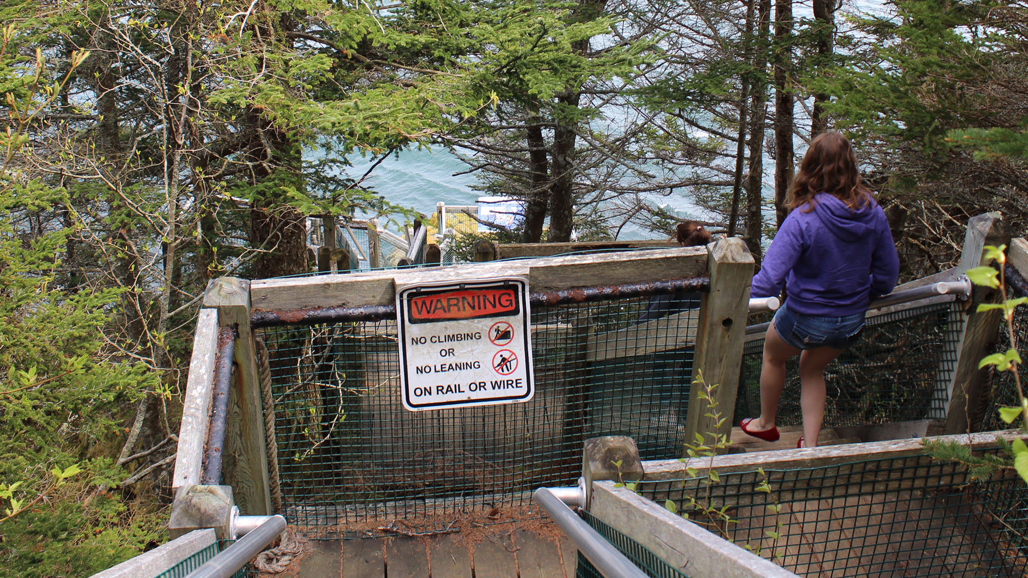 Take a hike: Nova Scotia Trails Federation launches new trail guide
