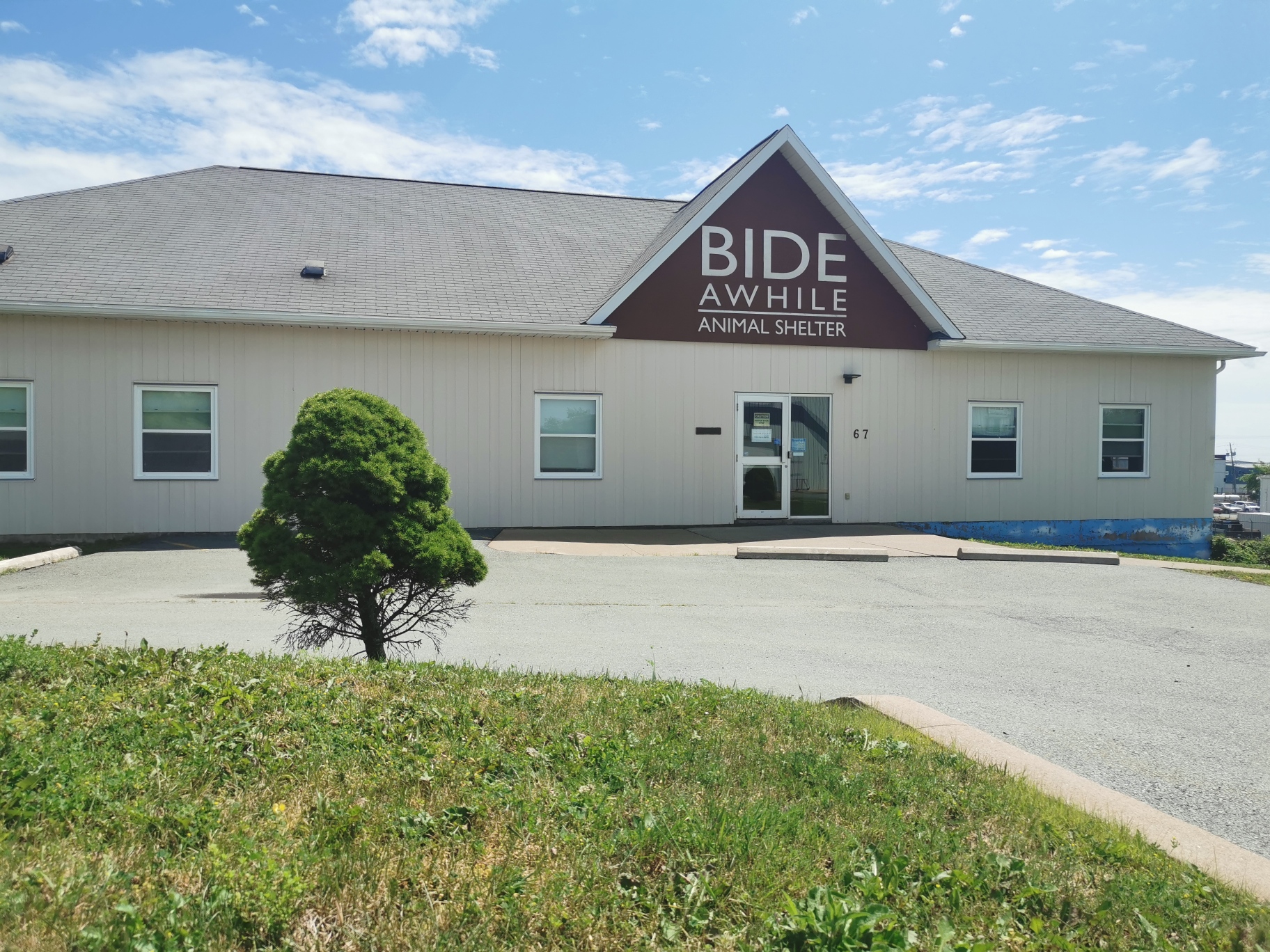 Cats get VIP meetings with potential owners, leading to spike in N.S ...