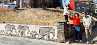 Urban canvas: Halifax murals and the city that inspires them