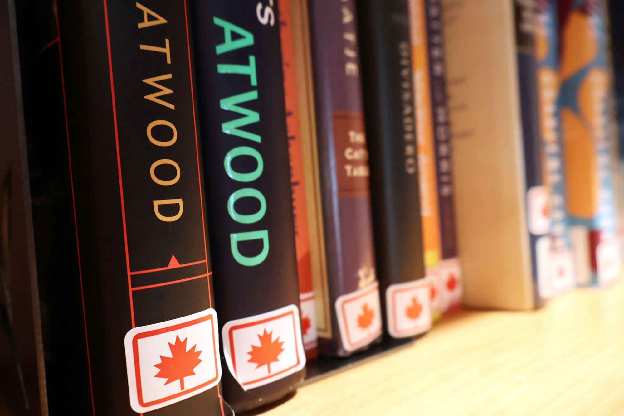 CanLit criticism moves online, but audiences are tough to find